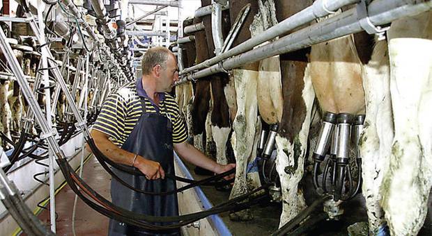 Cuidados A Tener En Cuenta Con Una Maquina De Ordeñar 🐄 Ganadería